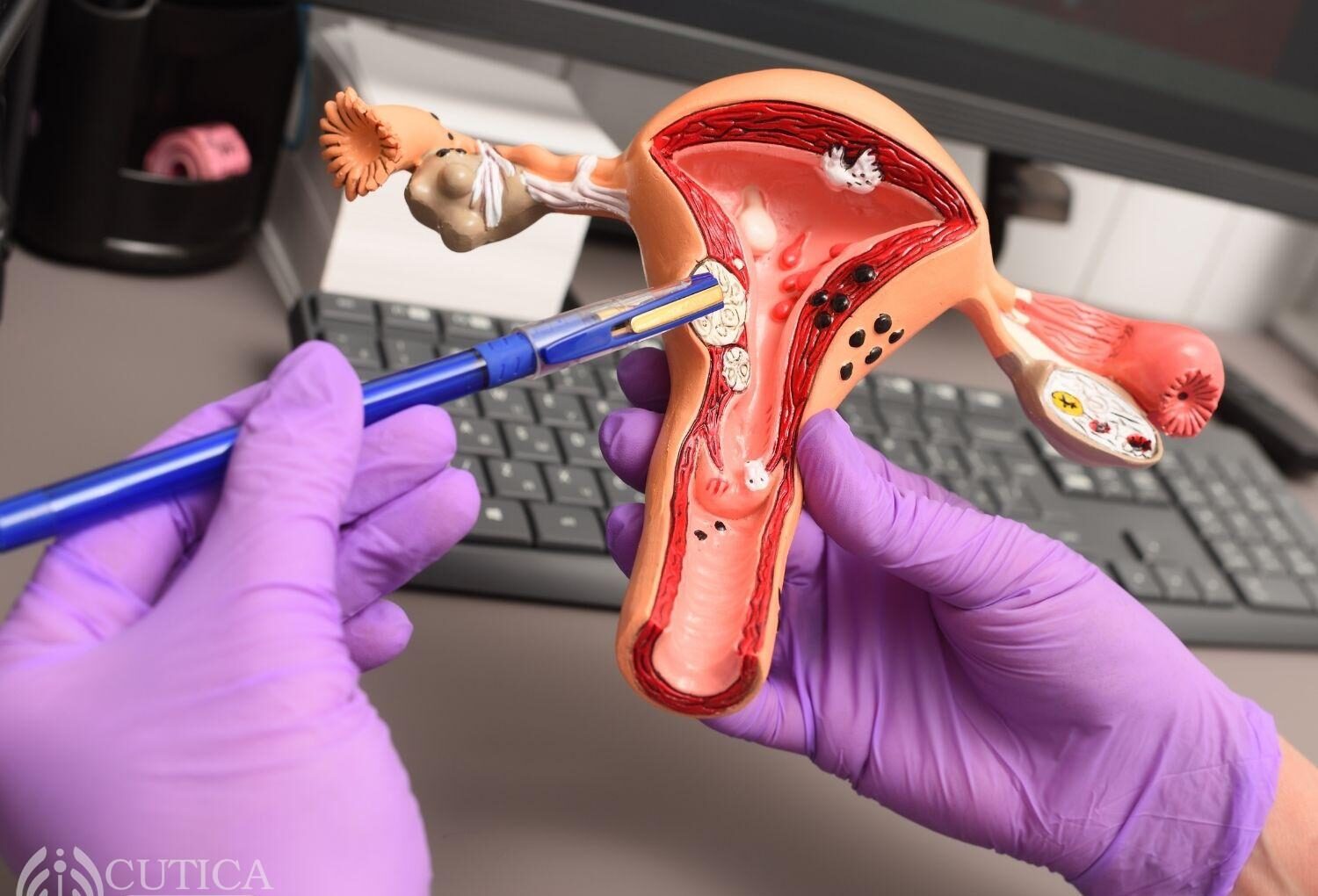 Home - EROM Diagnostics